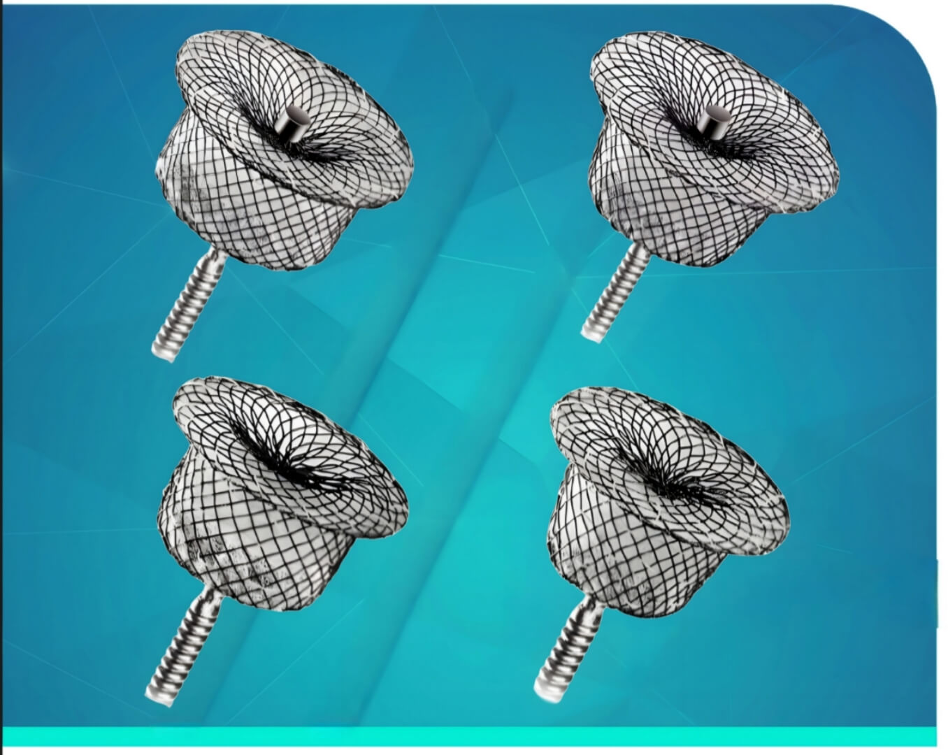 Transcatheter System for Patent Ductus Arteriosus Closure — PDA ...